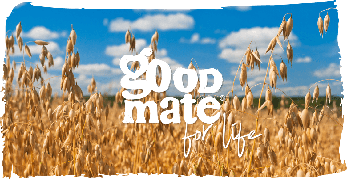 About Goodmate Good Mate Made Of Goodness about-goodmate-good-mate-made-of-goodness